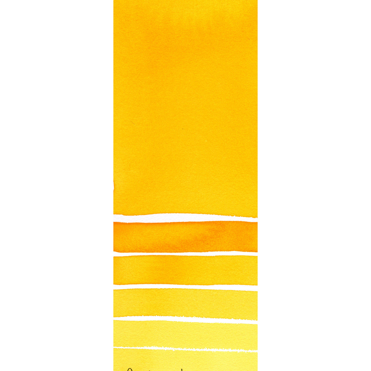 Daniel Smith : Watercolor - New Gamboge – Kunstmaagen